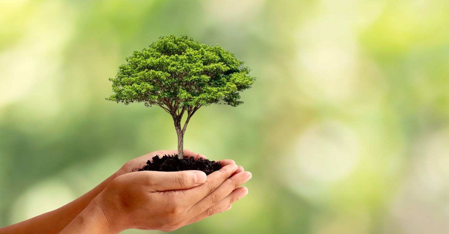 How to Become More Sustainable in the Way You Live | Blog How to Become More Sustainable in the Way You Live | Blog